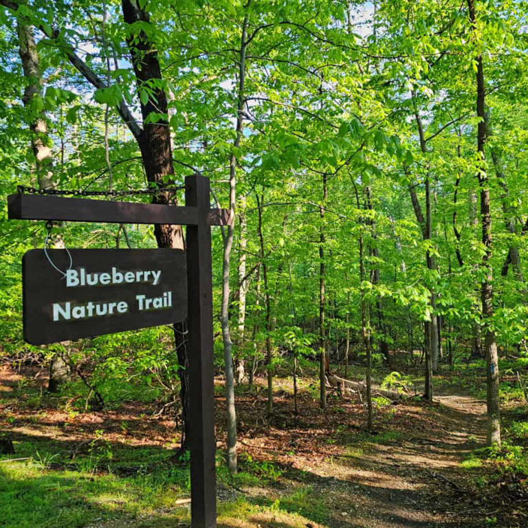 Explore Greenbelt Park in Maryland!