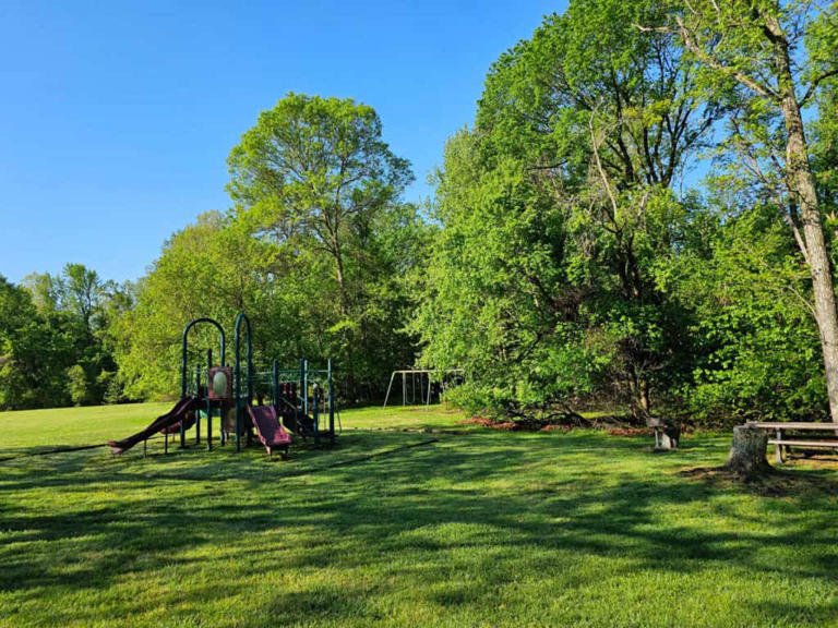 Explore Greenbelt Park in Maryland!