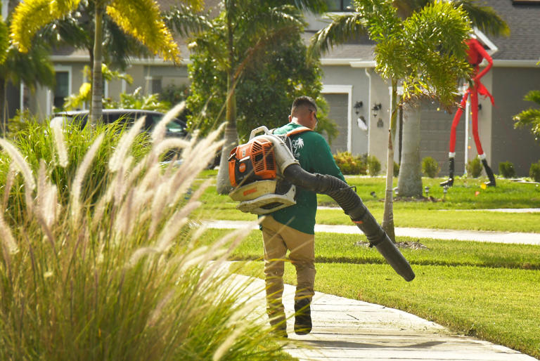 PVD City Council moving forward with ban on gas-powered leaf blowers ...