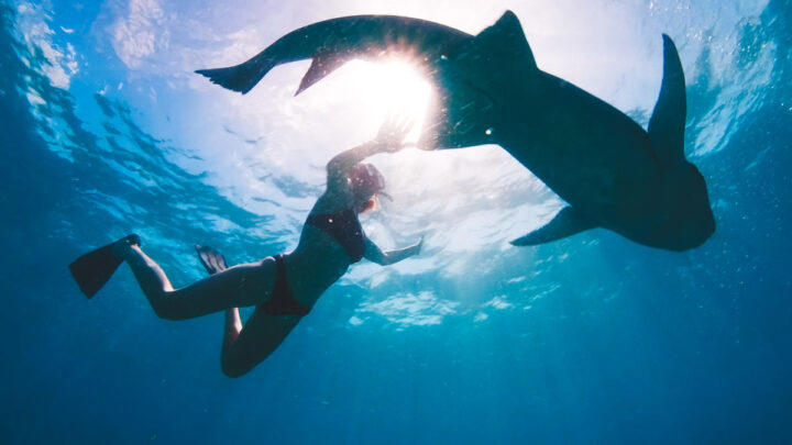 27 Amazing Things To Do in Belize — A Complete Guide!