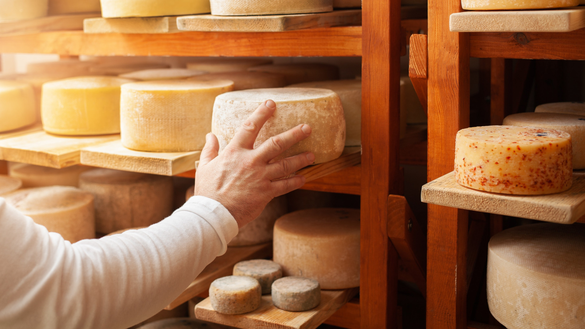 Dans l’ombre des caves : le commerce clandestin du fromage de luxe