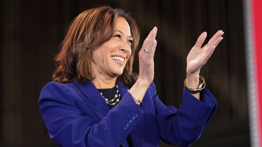 Harris widely favored to lead Dems in 2028, poll shows