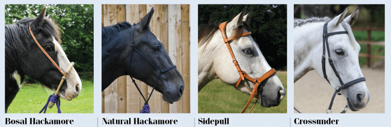 There are physiological advantages of using bitless bridles for every horse
