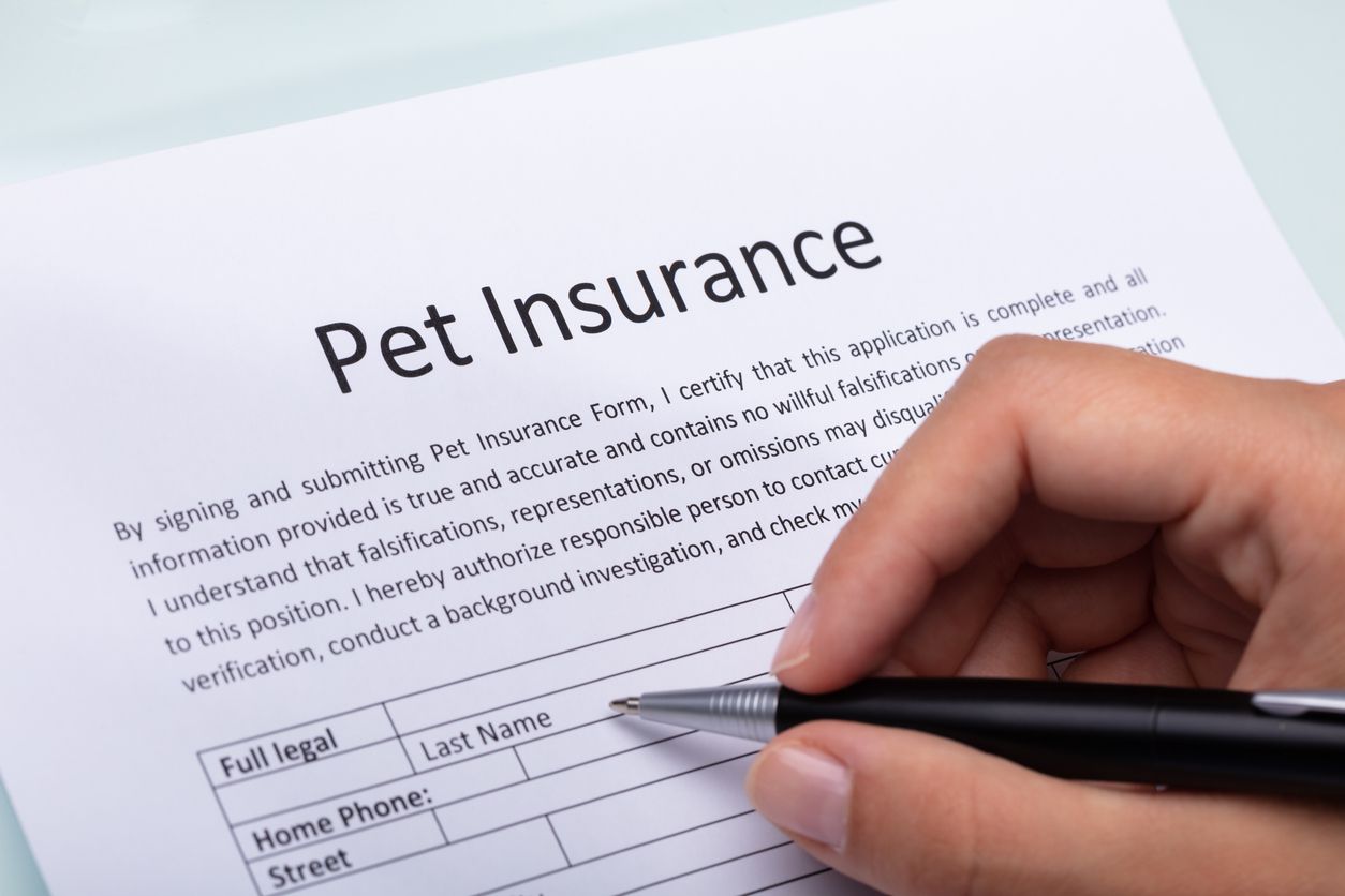 What Is Pet Insurance? Combing Through the Fine (Paw) Print of Pet Plans