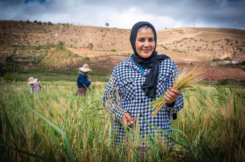 Morocco launches national program to create rural jobs worth 1 billion ...