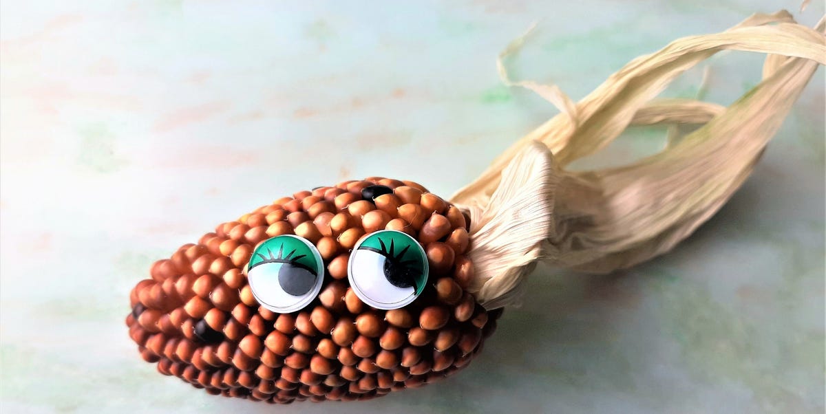 100 Funny Thanksgiving Jokes for an Open-Mic Turkey Day