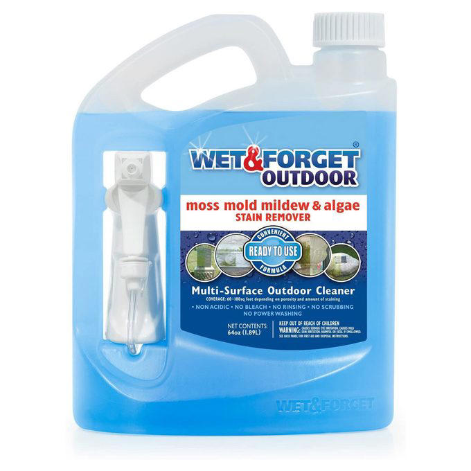8 Best Mold and Mildew Removers of 2024