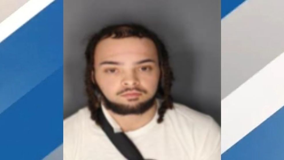 Troy man pleads guilty to manslaughter and weapon possession charges