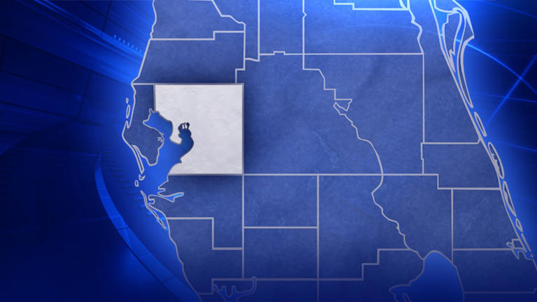 Body found in pond near International Plaza: Police