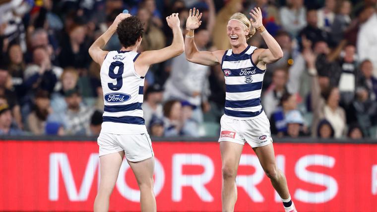Where to watch Geelong vs. Hawthorn: Free live stream, free-to-air ...