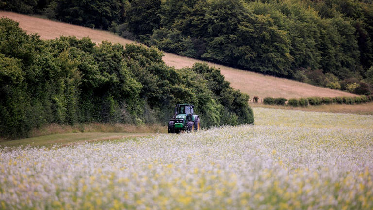 Farmers' inheritance tax creates 'chilling effect' on nature recovery ... Farmers' inheritance tax creates 'chilling effect' on nature recovery ...