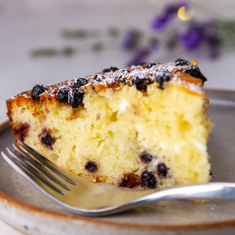 Blueberry Cottage Cheese Cake