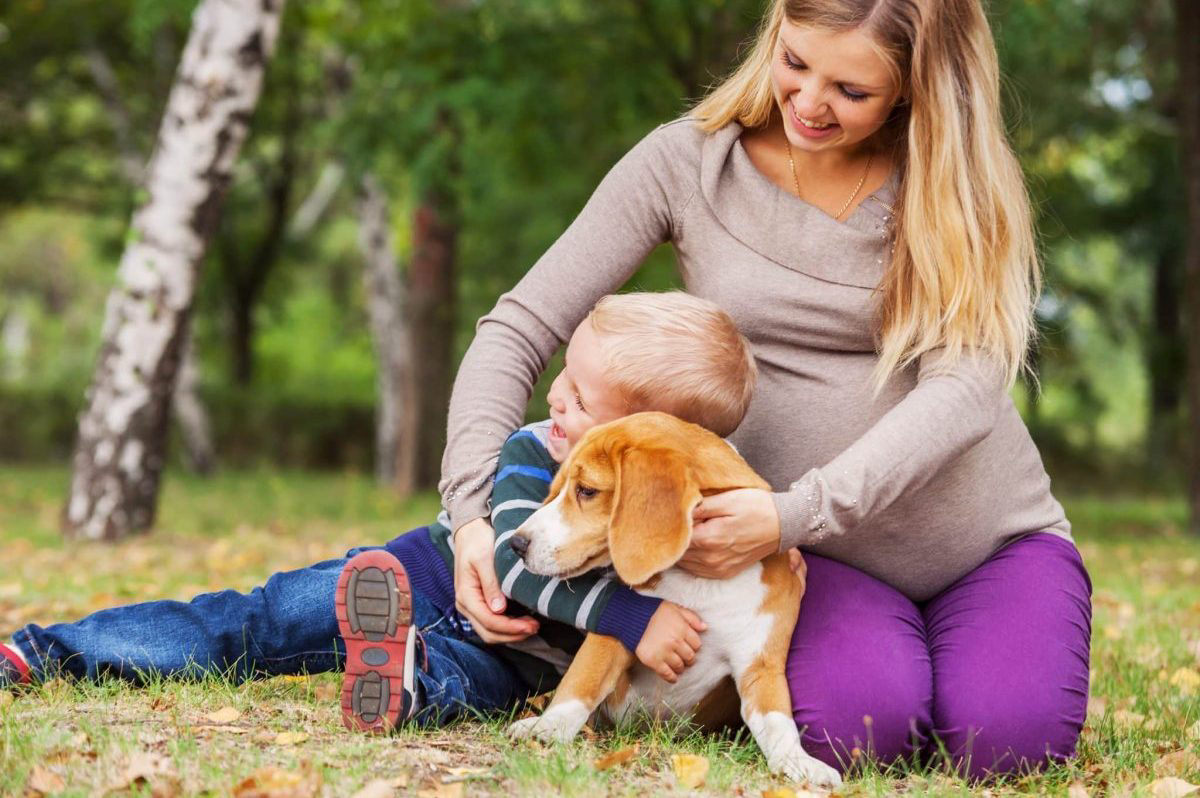 13 Reasons Dogs Are The Perfect Companions For Families Big Or Small 13 Reasons Dogs Are The Perfect Companions For Families Big Or Small