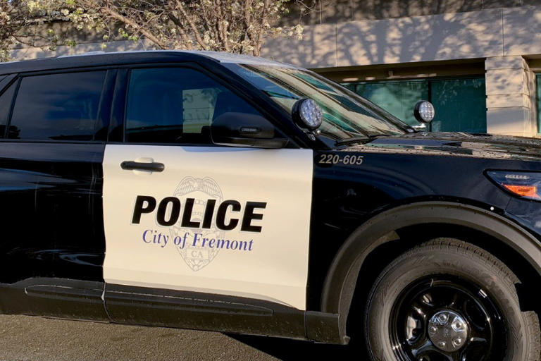 Gun-shaped object drawn during parking spat leads to arrest: Fremont police