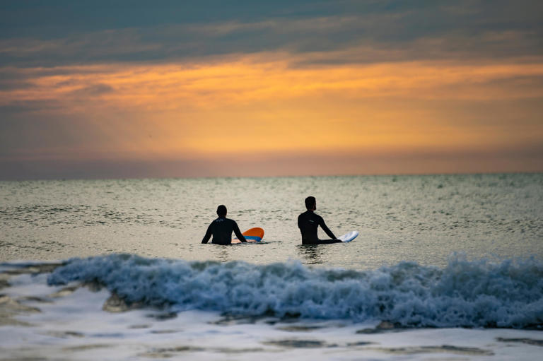 What eats Burmese pythons in Florida, Everglades? Do the invasive ...