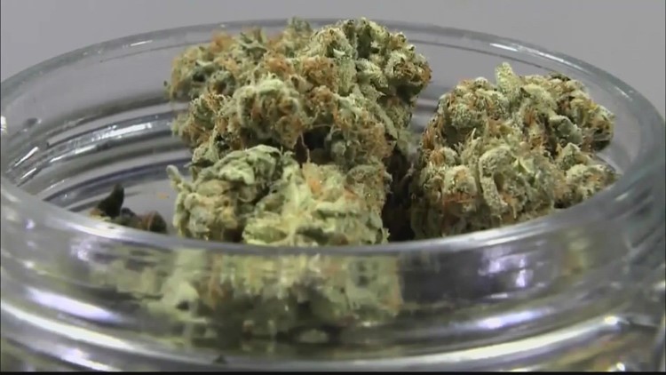 Former DC marijuana dispensary owner pleads guilty to over $1.2M in tax evasion