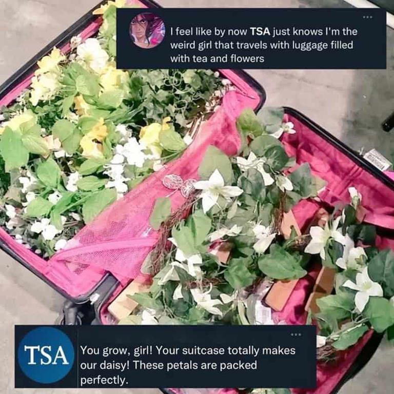 30 Funniest TSA Memes To Look At While Waiting In The Security Line