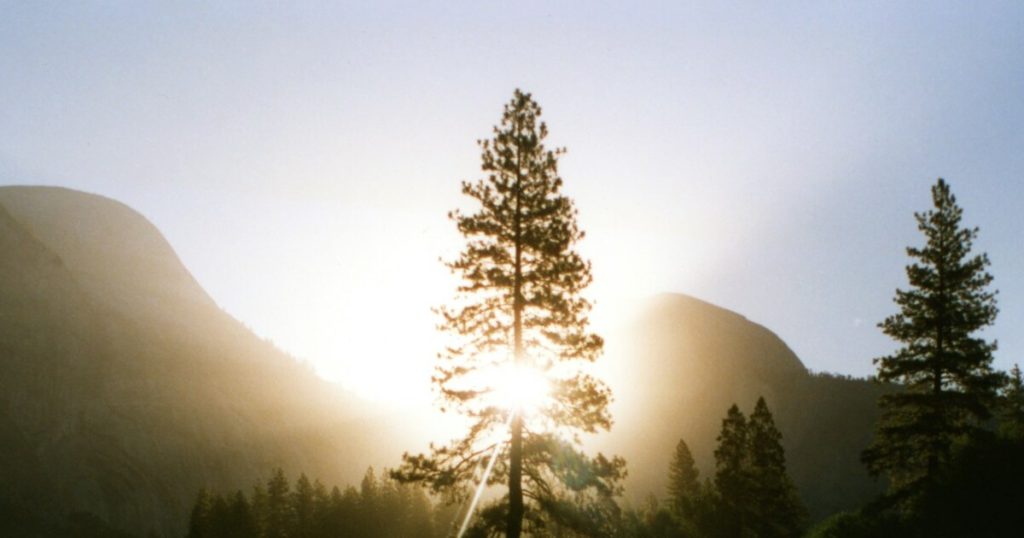 10 Environmental Problems Your Garden Can Help Fix