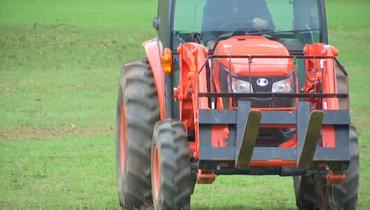 Kentucky judge grants injunction that impacts farms with H-2A workers Kentucky judge grants injunction that impacts farms with H-2A workers