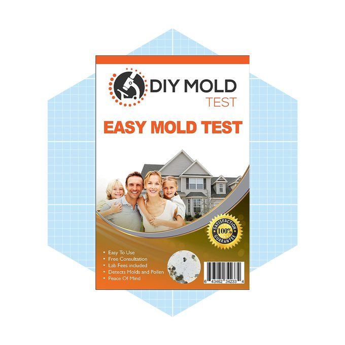 Best Mold Test Kits to Check Home Air Quality