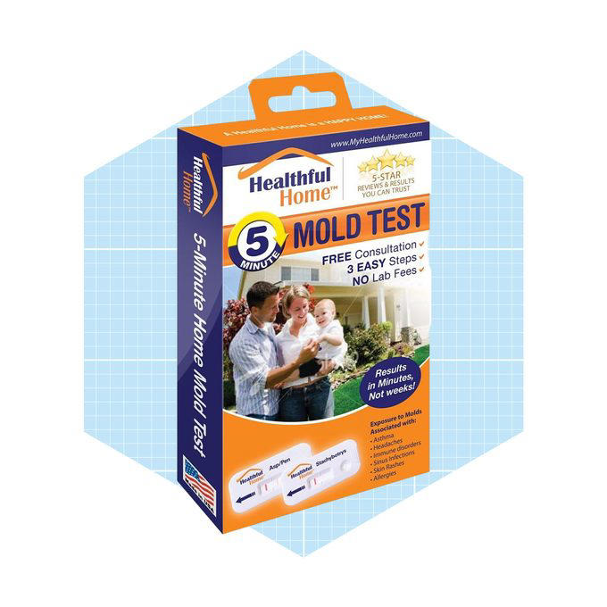 Best Mold Test Kits to Check Home Air Quality