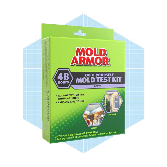 Best mold test kits to check home air quality
