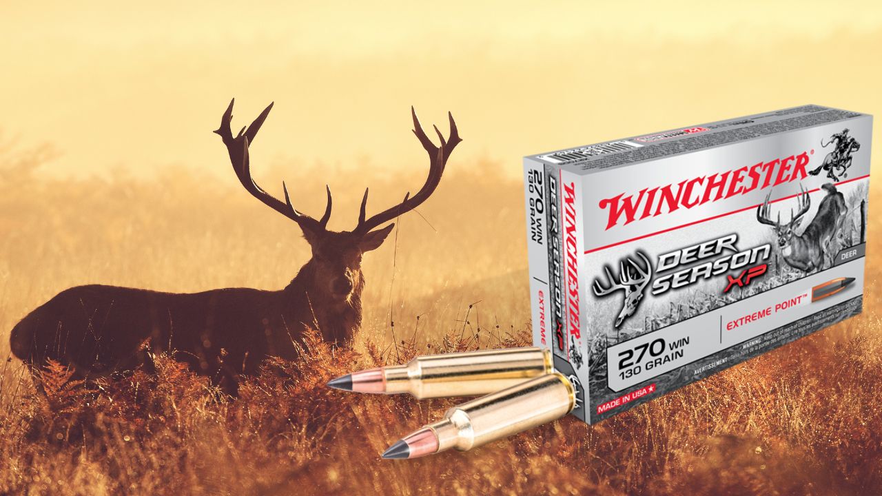 The Top 10 Best Deer Hunting Cartridges: Ranked and Explained