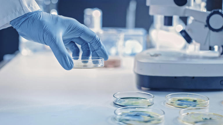Health authorities monitor after poliovirus strains found in Cape Town ...