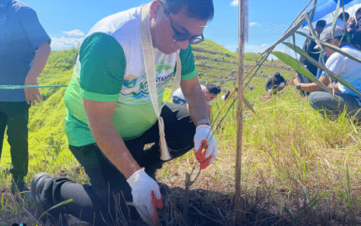 PH sets Guinness World Record for simultaneous bamboo planting PH sets Guinness World Record for simultaneous bamboo planting