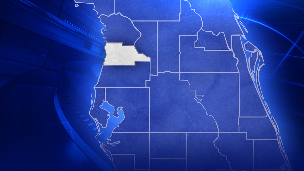 Spring Hill under rabies alert after cat infected in raccoon attack: DOH