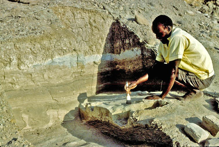 Fossilized footprints reveal 2 extinct hominin species living side by ... Fossilized footprints reveal 2 extinct hominin species living side by ...