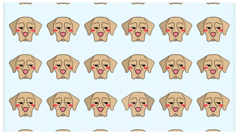 Brain teaser: Only a sharp eye can spot the odd one out in 10 seconds ... Brain teaser: Only a sharp eye can spot the odd one out in 10 seconds ...