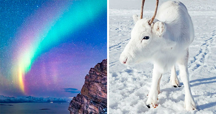 30 Captivating Photos Of Norway That Perfectly Illustrate Why This ...