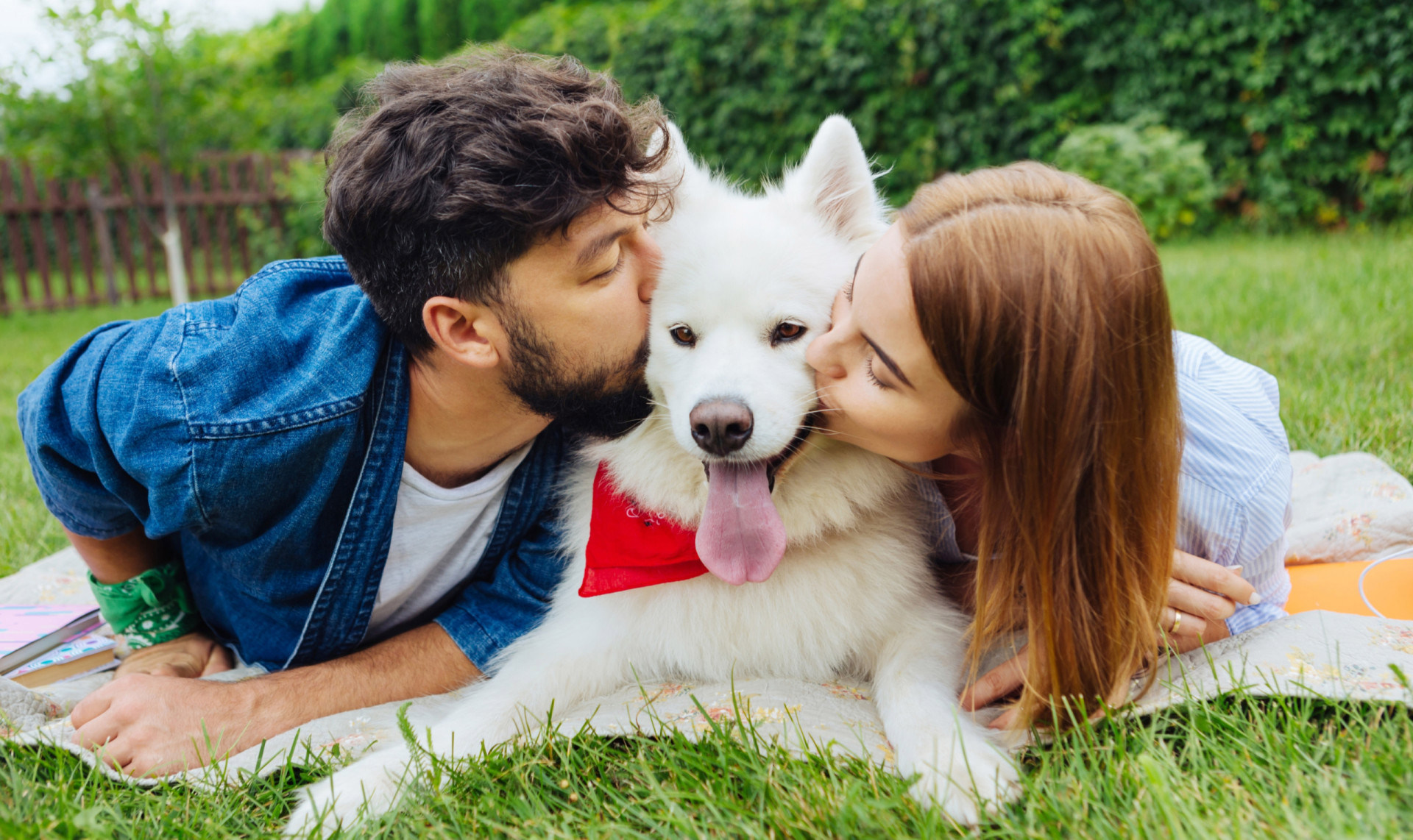 Common misconceptions about dogs, debunked Common misconceptions about dogs, debunked