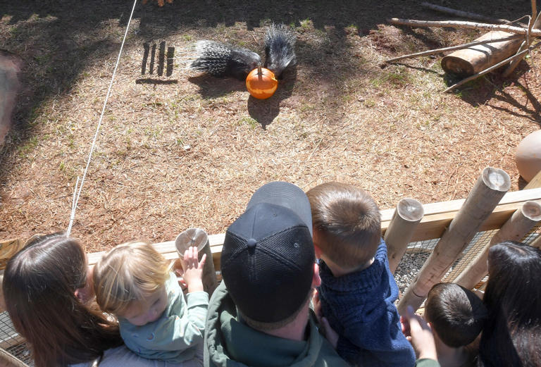 Ready for sweater weather? See Old Farmer's Almanac fall forecast for ...