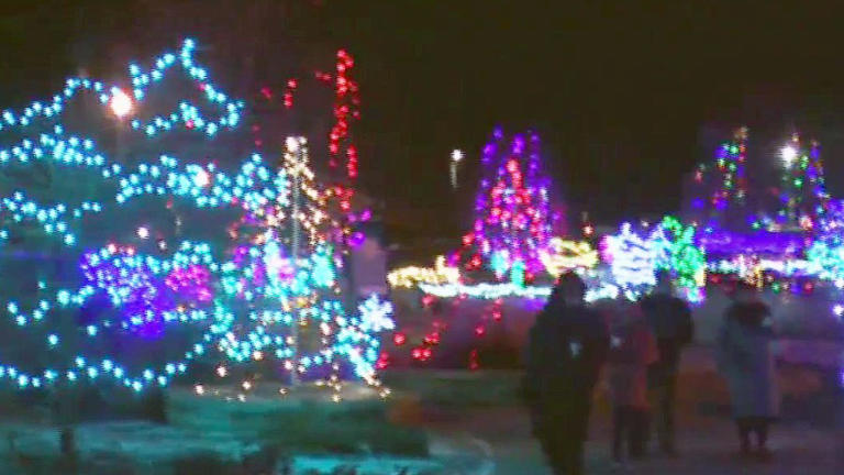 ‘Winter Lights’ brightens QC Botanical Center for the holidays ‘Winter Lights’ brightens QC Botanical Center for the holidays