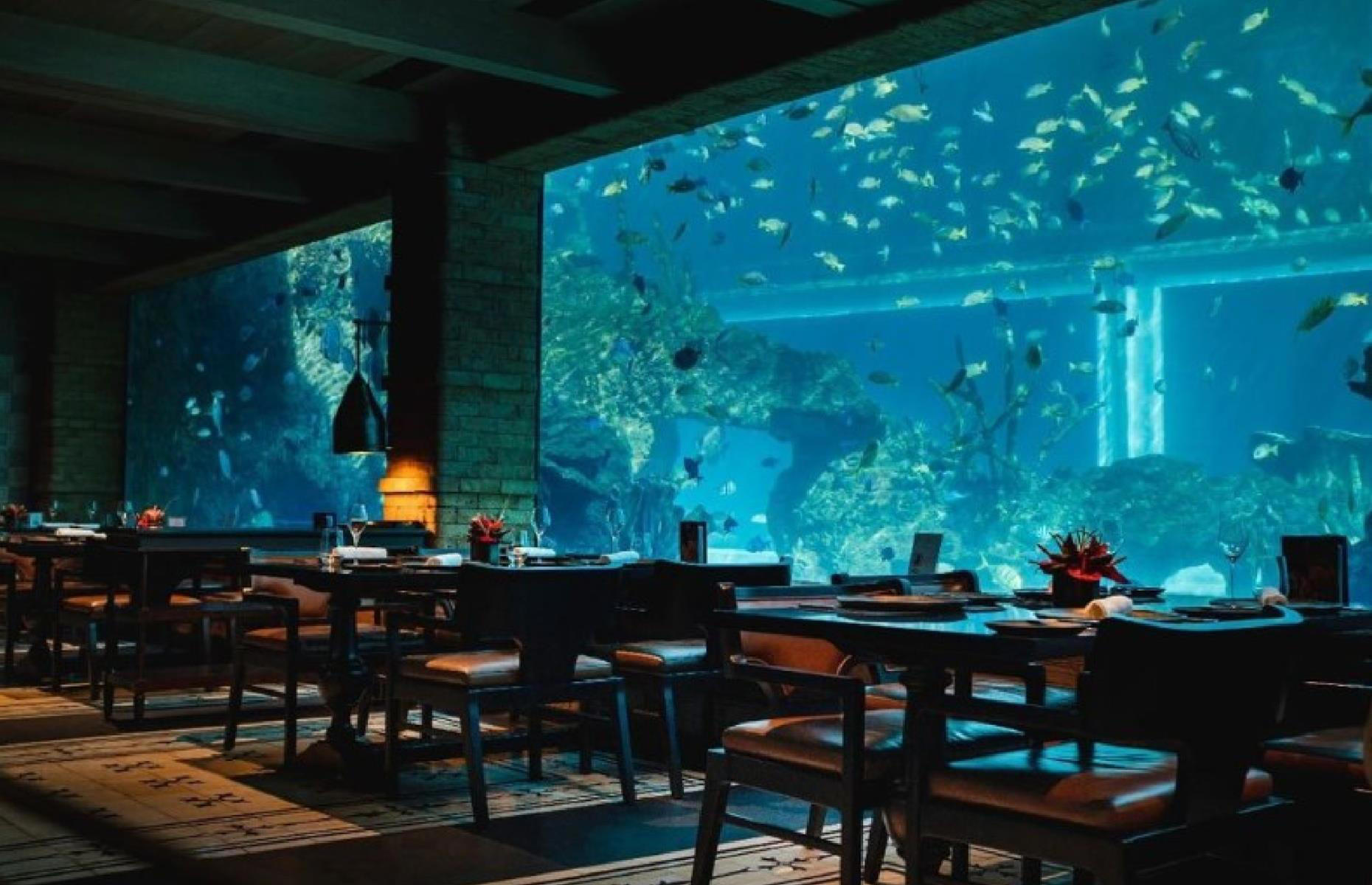 The world's most incredible underwater restaurants will take your ... The world's most incredible underwater restaurants will take your ...