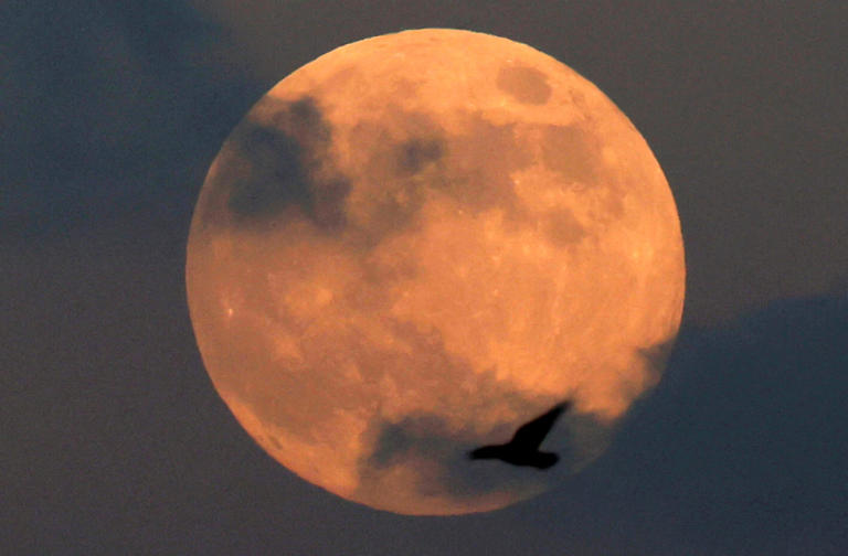 When is the next full moon? November supermoon could be brightest ...
