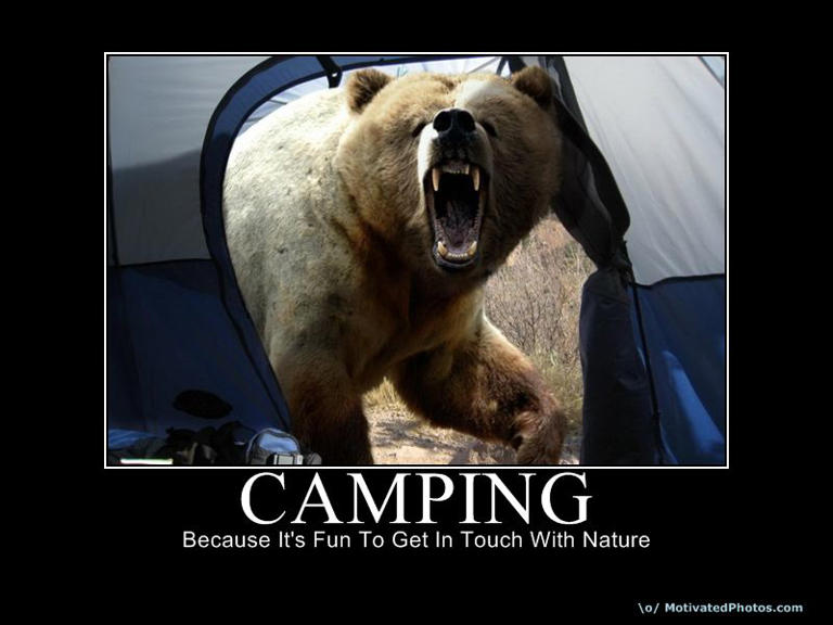 60+ Camping Memes That Will Have You Ready for Camping Season