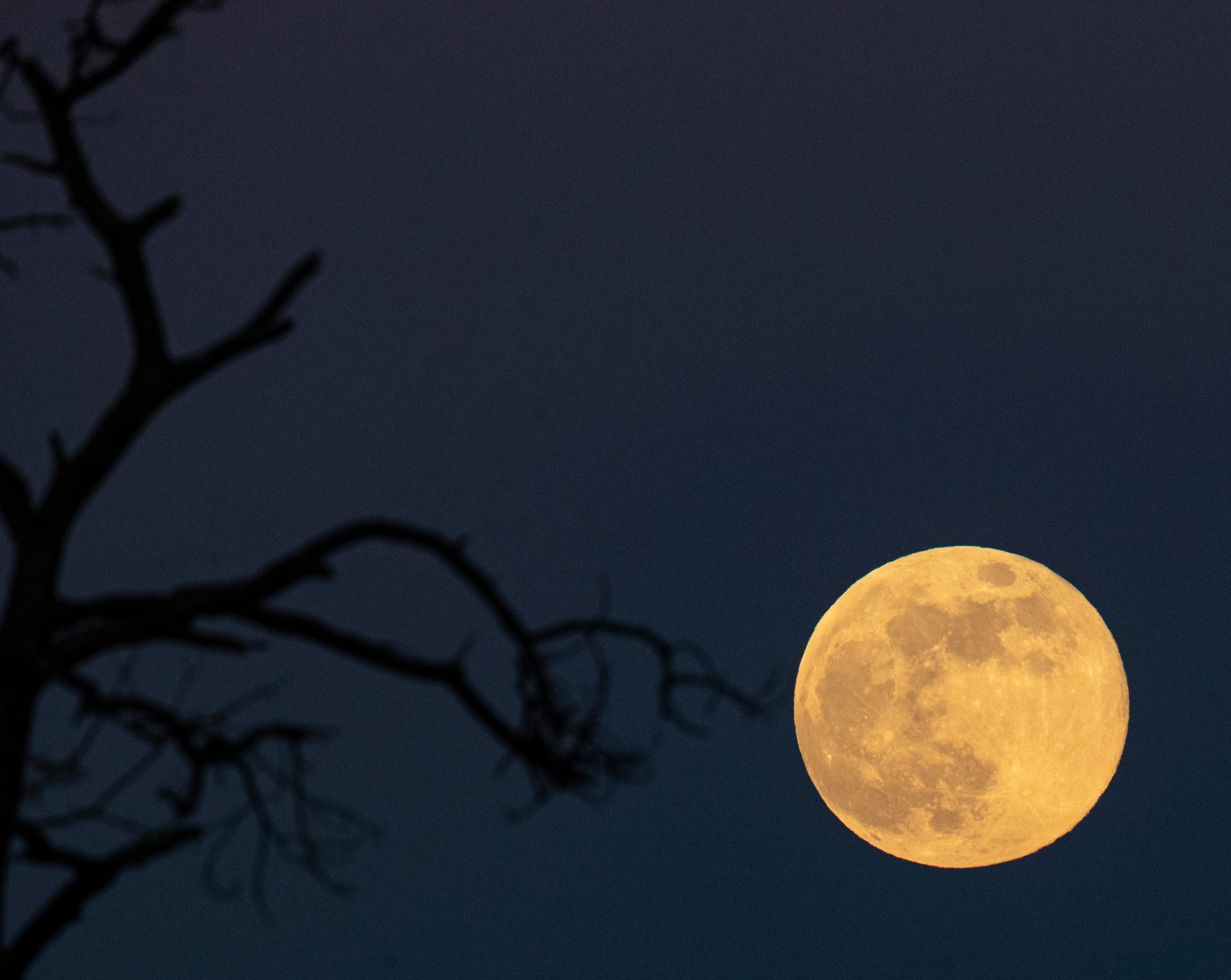 Biggest, brightest full moon of the year is in November, coincides with ...