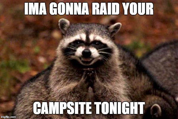 60+ Hilarious Camping Memes to Get You Pumped for Camping Season