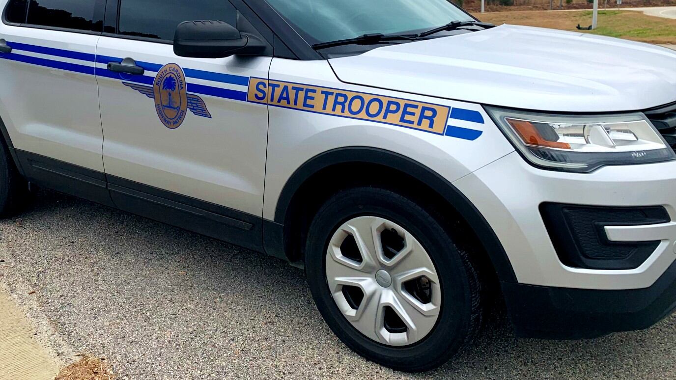 Driver dead after striking tree on Dally Road in Bamberg County