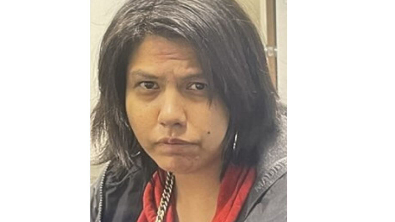 Silver Alert declared for missing Mishawaka woman Silver Alert declared for missing Mishawaka woman