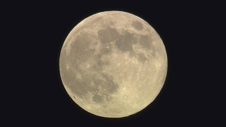 Beaver Moon, the last supermoon of 2024, illuminates NYC skies tonight