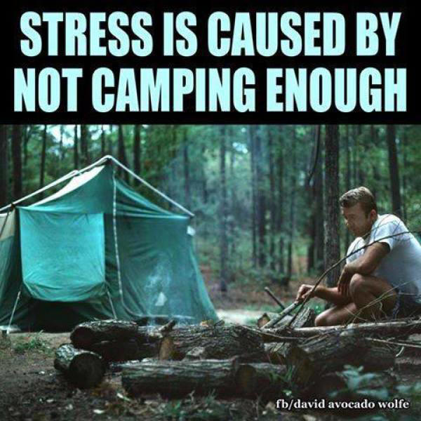 60+ Hilarious Camping Memes to Get You Pumped for Camping Season