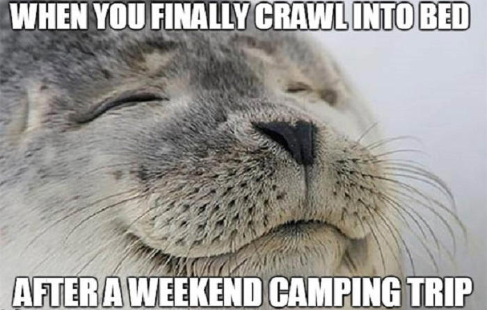 60+ Camping Memes That Will Have You Ready for Camping Season