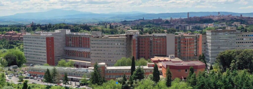 Cade da cavallo e viene portato d'urgenza in elisoccorso all'ospedale