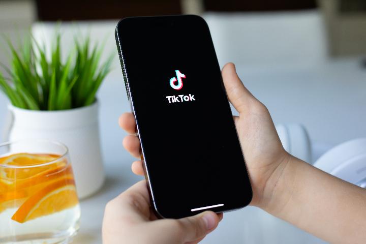 Apa itu Hewan Ripple yang Viral di TikTok? Ini Penjelasannya