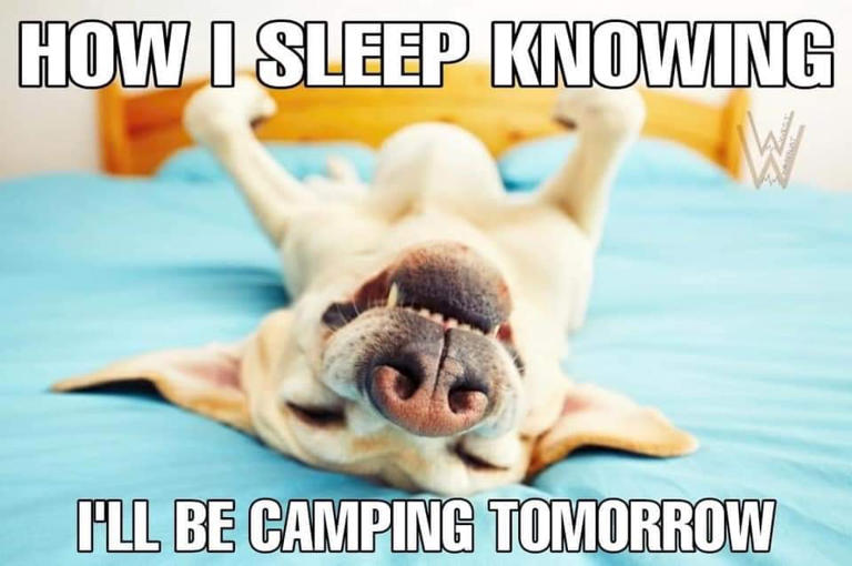60+ Camping Memes That Will Have You Ready for Camping Season