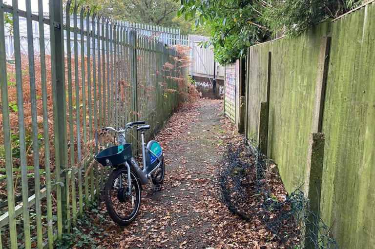 I tried Guildford's new e-bike hire scheme to see if it can help students and commuters zip ...